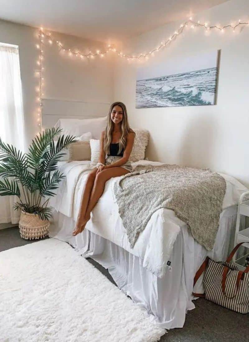 8 Air Purifying Plants For Your Dorm Room