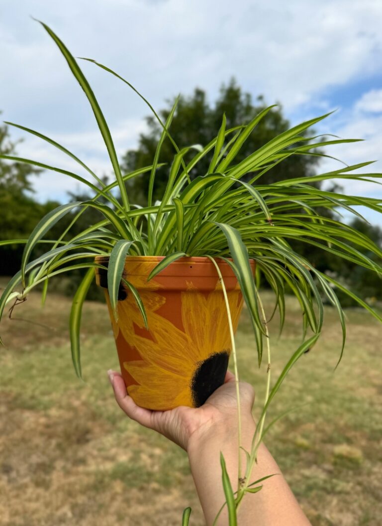 15 DIY Hand‑painted Terra Cotta Pot Ideas to Brighten Up Your Space