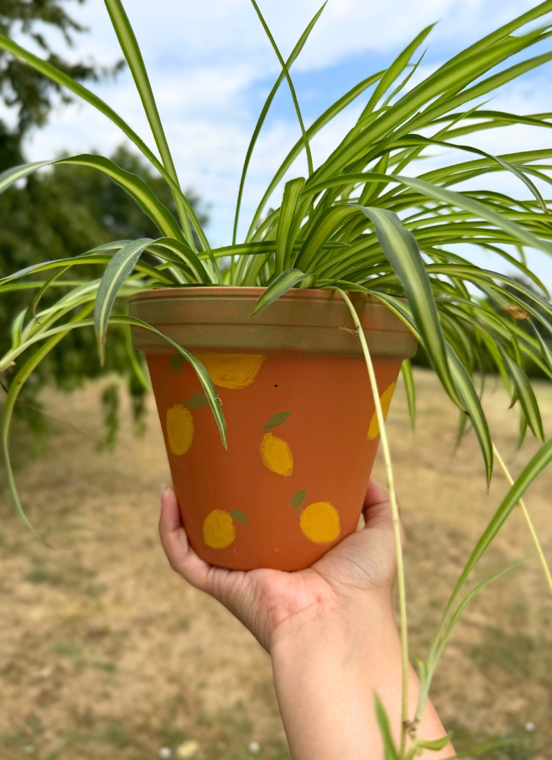 15 DIY Hand‑painted Terra Cotta Pot Ideas to Brighten Up Your Space